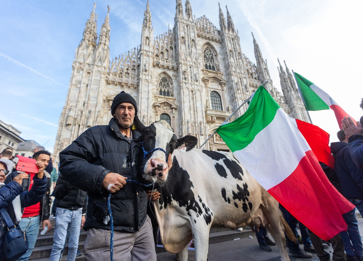 Trattori, mucca in Duomo a Milano. Attesa un'altra settimana di proteste