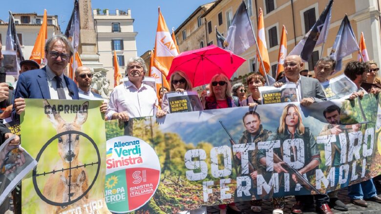 Campo largo e caccia aperta al ddl "sparatutto": perché fa discutere